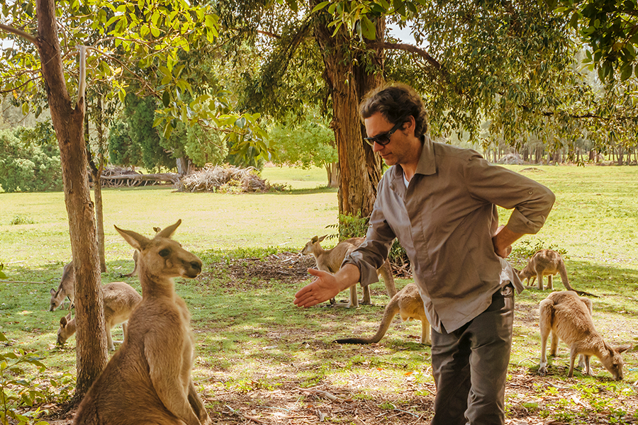 에이비스 해외 렌터카 한국 공식 홈페이지 / Avis Rent a Car